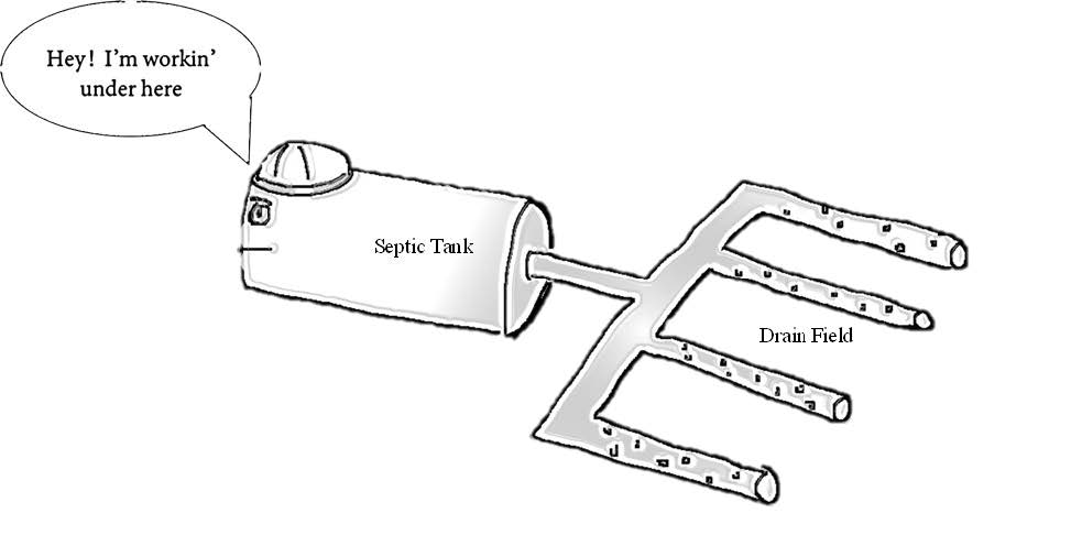 The Soil-Based Septic System Root–Notes Root Notes